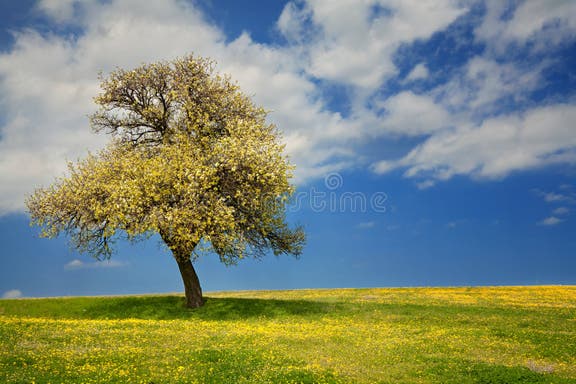 Spring time stock photo. Image of clouds, countryside - 22935258