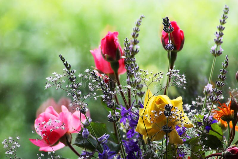 Spring time stock photo. Image of freshness, floral, blossom - 23908880