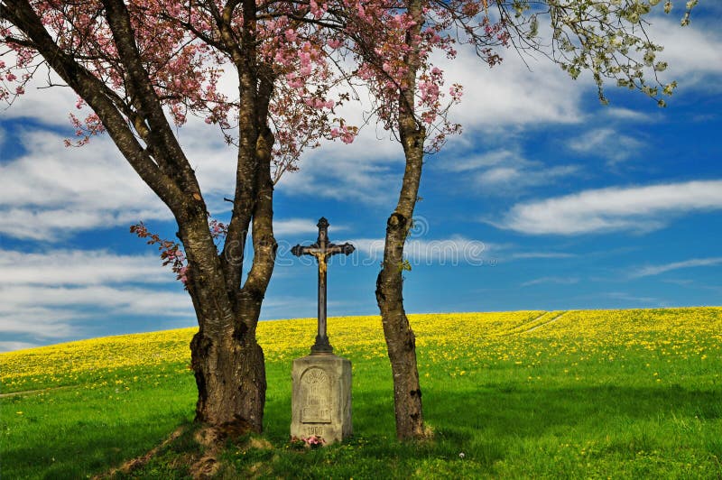 Spring time stock photo. Image of allgaeu, bavaria, meadow - 26534892