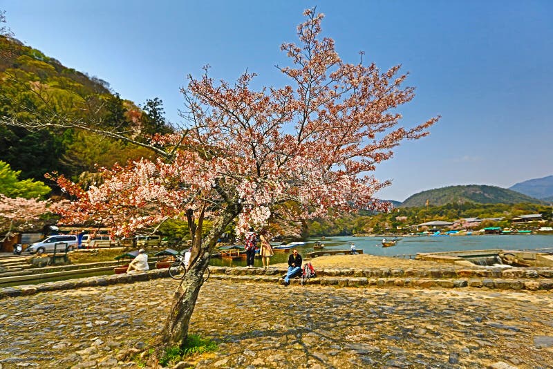 Spring Time at Arashiyama, Japan Editorial Photography - Image of ...