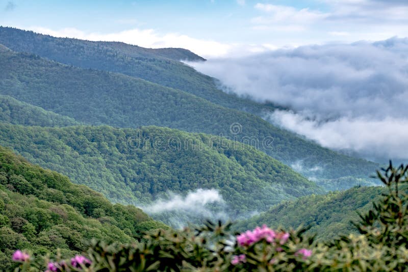 Spring Time on Blue Ridge Parkway Mountains Stock Image - Image of blue ...