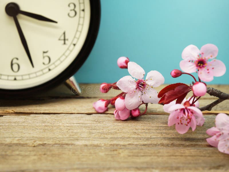 Spring Time Change stock image. Image of cherry, romantic - 68075567