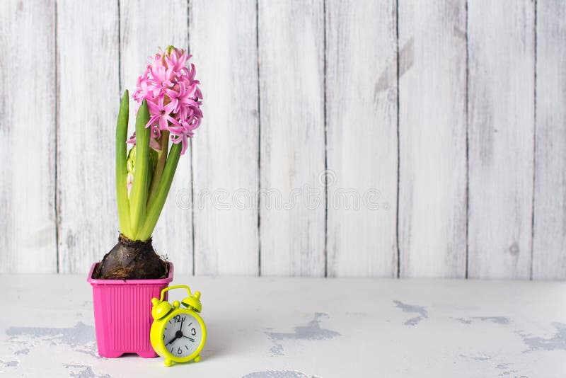 Springtime or Gardening Concept Stock Photo - Image of seed, card: 99508182