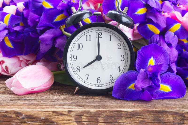 Spring time concept stock photo. Image of save, prunus - 87801078