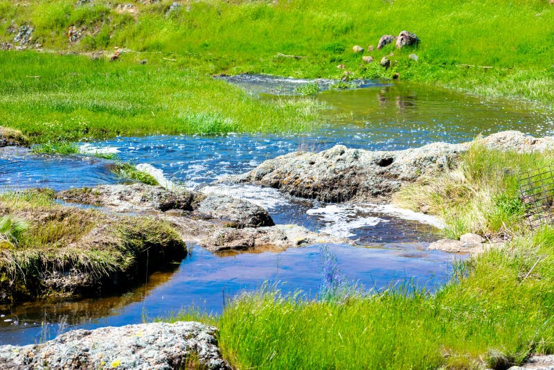 Spring Time Creek in Central California Stock Photo - Image of standing ...