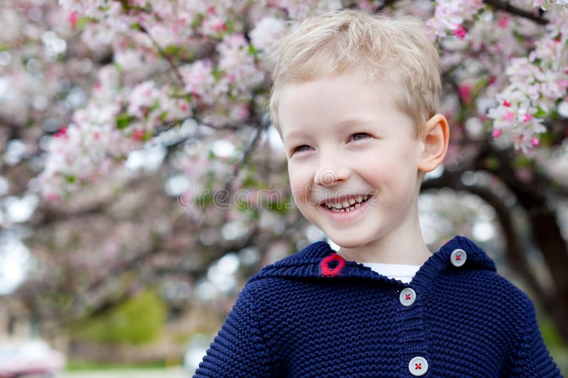 Spring time stock photo. Image of easter, adorable, cute - 38503260