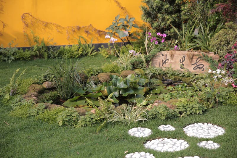 A Spring Time in Domestic Garden. Hong Kong Stock Photo - Image of ...