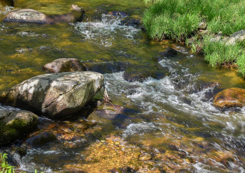 Spring Time Down by the Brook Stock Image - Image of brook, spring ...