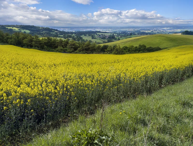 Spring Time in the East Yorkshire Wolds - England Stock Image - Image ...