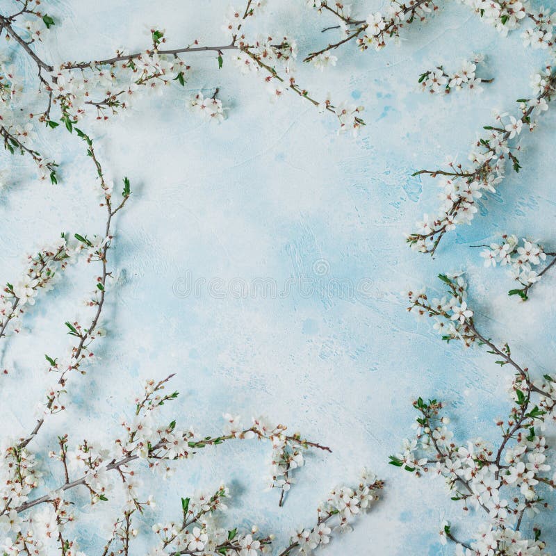 Spring Time Floral Frame of Blooming Spring White Flowers Isolated on ...