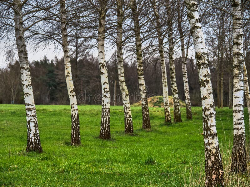 Spring time in westphalia stock photo. Image of german - 214971198