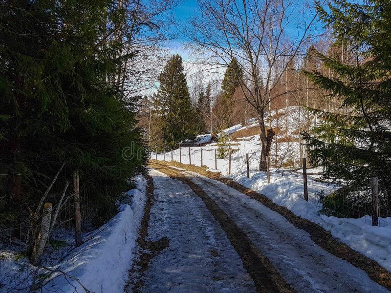 Spring Time in Hedmark County Norway Stock Image - Image of spring ...
