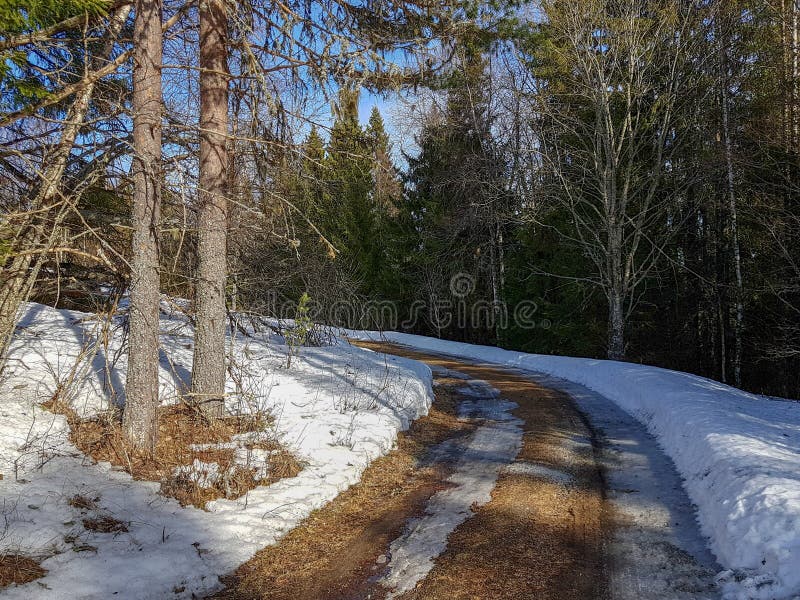 Spring Time in Hedmark County Norway Stock Image - Image of spring ...