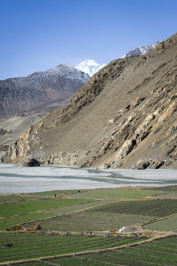 Spring time in Himalaya stock image. Image of blue, mountaineering ...