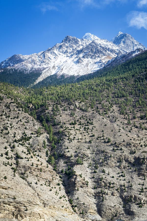 Spring Time in Himalaya Mountains Stock Photo - Image of green ...