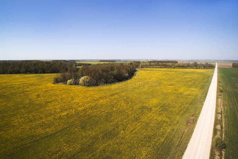 Spring Time in Latvian Countryside. Stock Image - Image of grass, rural ...