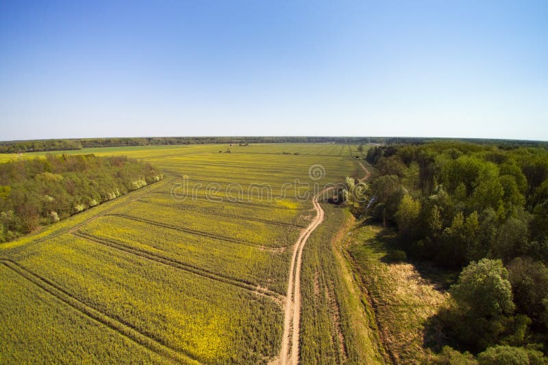 Spring Time in Latvian Countryside. Stock Image - Image of grass, rural ...