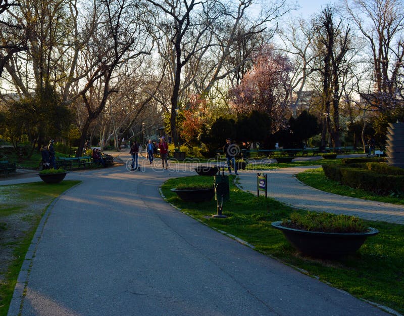 Spring time editorial photography. Image of mothr, bridge - 89413052