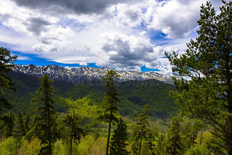 Spring Time in the Mountains Stock Photo - Image of foliage, green ...