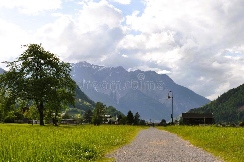 Austrian Alps in Spring Time Stock Image - Image of meadow, plant ...