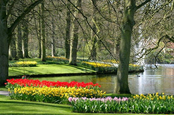 Spring time in park stock photo. Image of holland, peaceful - 104314