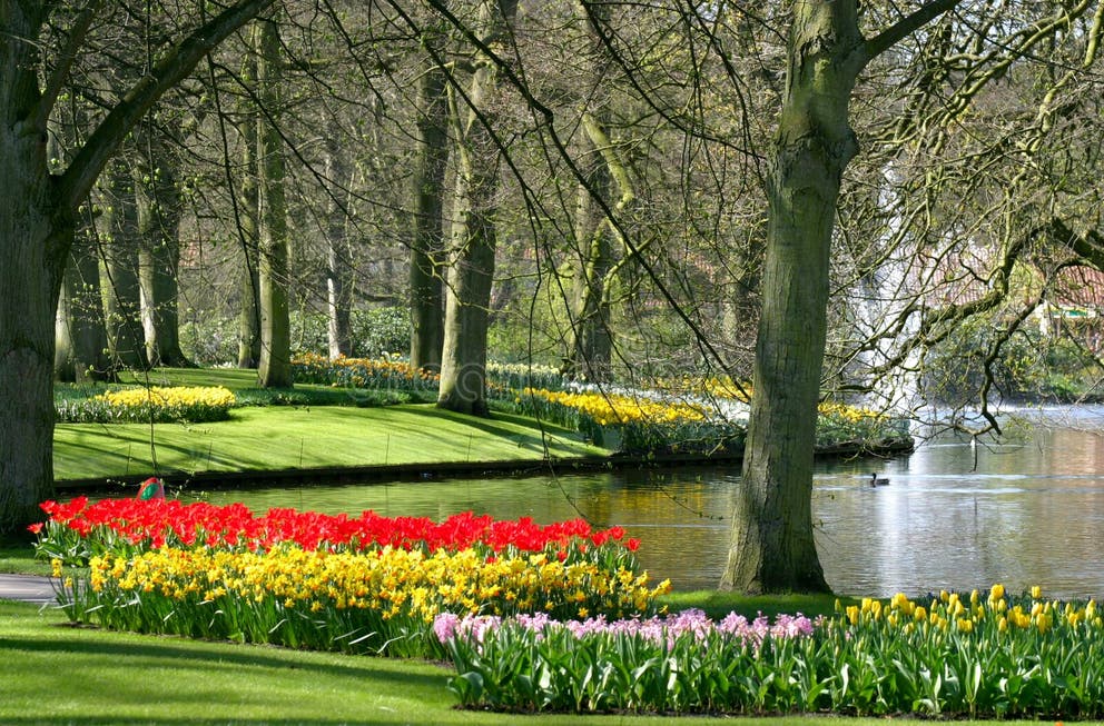 Spring time in park stock photo. Image of holland, peaceful - 104314