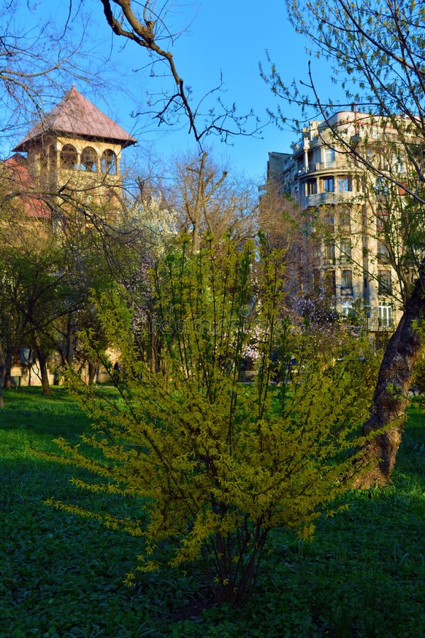 Spring time stock image. Image of bloom, growing, peace - 89412615