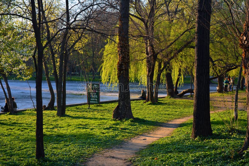 Spring time stock photo. Image of bloom, landscape, flowers - 89412908
