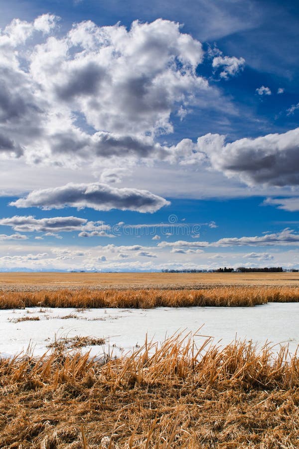 Spring Time in the Prairies Stock Image - Image of spring, prairies ...