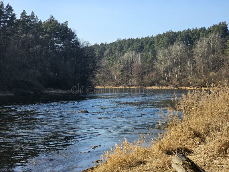 Spring Time. River Bank View. Stock Photo - Image of autumn, lake ...