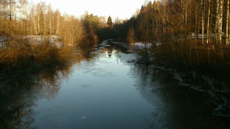 River and trees stock image. Image of river, trees, spring - 179419431