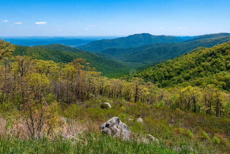 Spring Time in Shenandoah National Park Stock Photo - Image of overlook ...