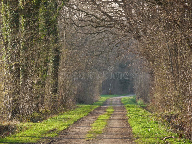 Spring time in westphalia stock photo. Image of german - 215212708