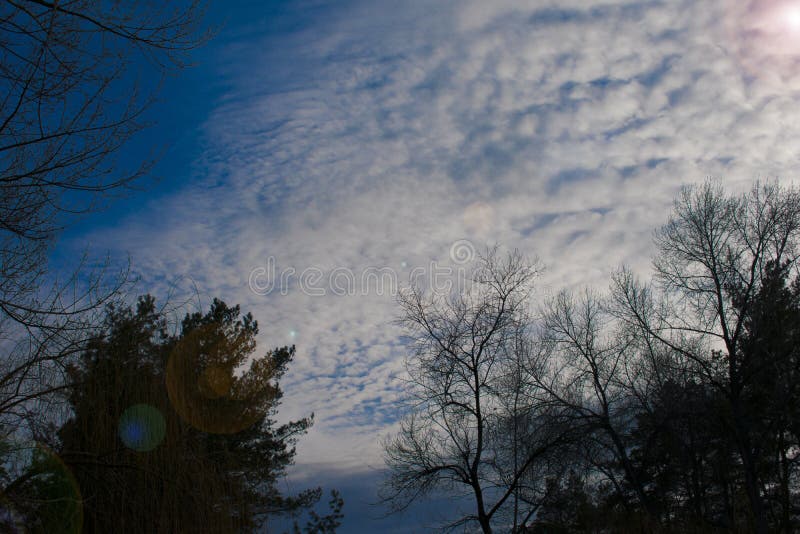 Spring time of the year stock photo. Image of peace - 112066472