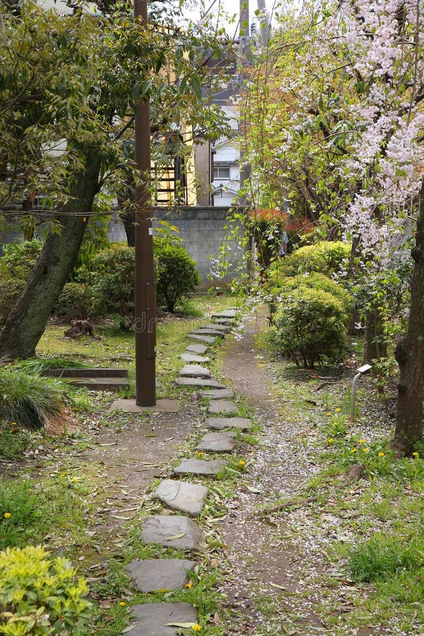Spring in Tokyo stock image. Image of park, path, stone - 73733937