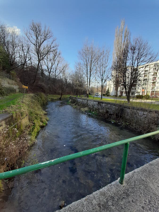 Spring in town stock photo. Image of green, tree, forest - 174102188