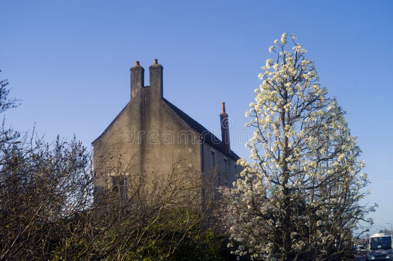 Spring in town stock image. Image of beautiful, season - 176334887