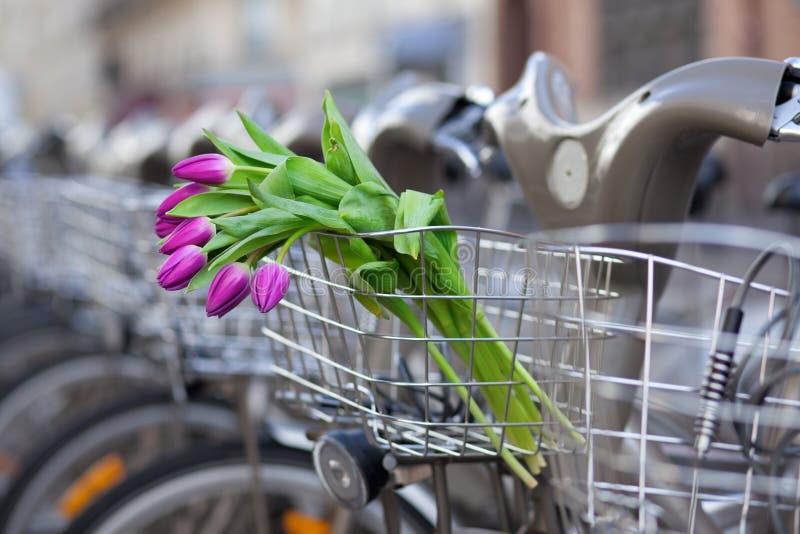 Spring in town! stock image. Image of european, basket - 23445949