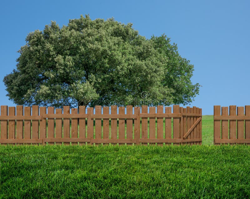 Spring Tree in Backyard and Wooden Garden Fence Stock Image - Image of ...