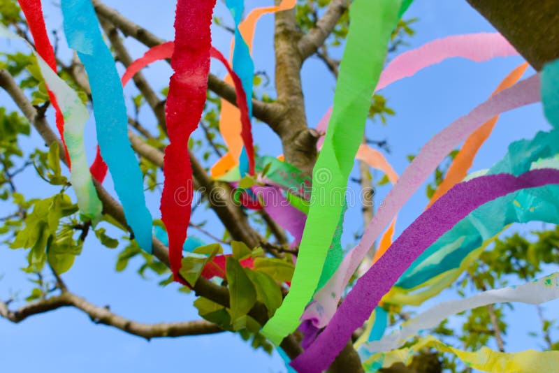 Spring Tree, Blooming Tree, Decorated Tree Stock Photo - Image of ...