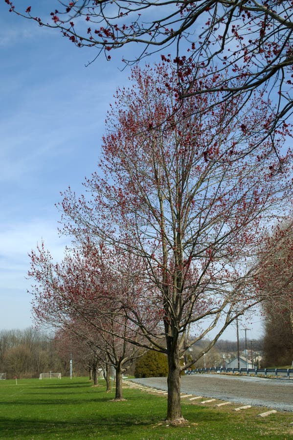 B&W Pop stock photo. Image of swirl, abstract, white - 58094480