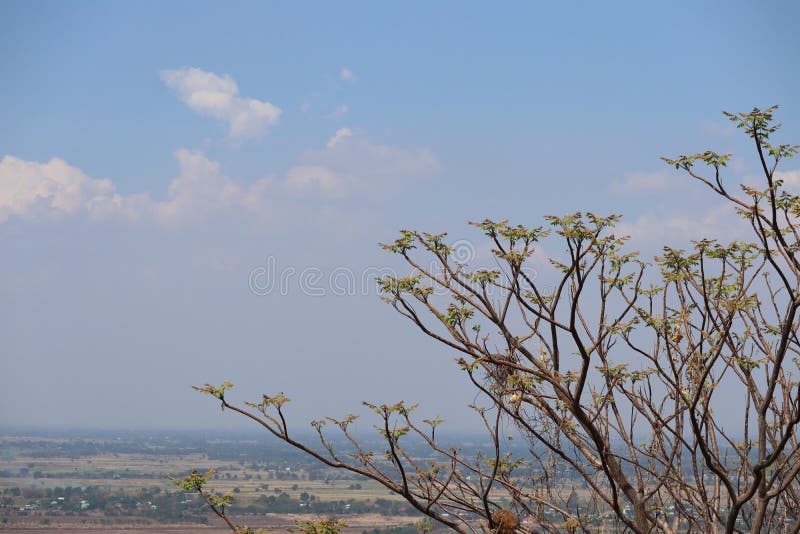 Spring Tree Branches Sky Background from a High Angle, City View ...