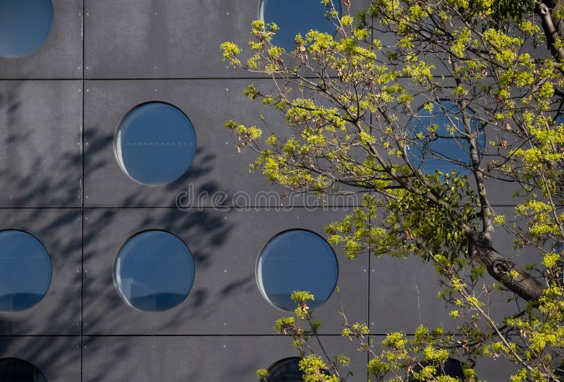 Spring Tree Branches in Front of Modern Building with Round Windows ...