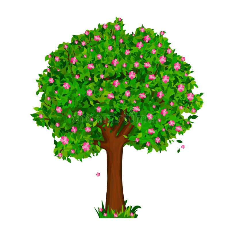 Spring Tree with Green Leaves and Pink Flowers Stock Vector ...