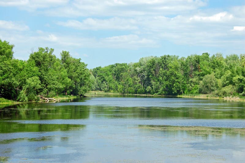 Spring tree and lake stock photo. Image of landscape - 74362948