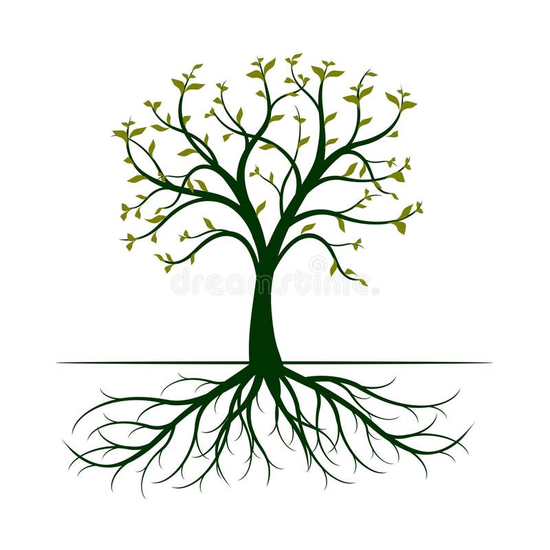 Spring Tree with Leaves and Roots on White Background. Vector ...