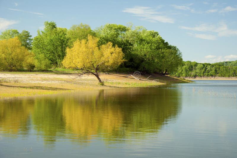 Spring Time Serenity Golden Hour at the Lake Stock Photo - Image of ...