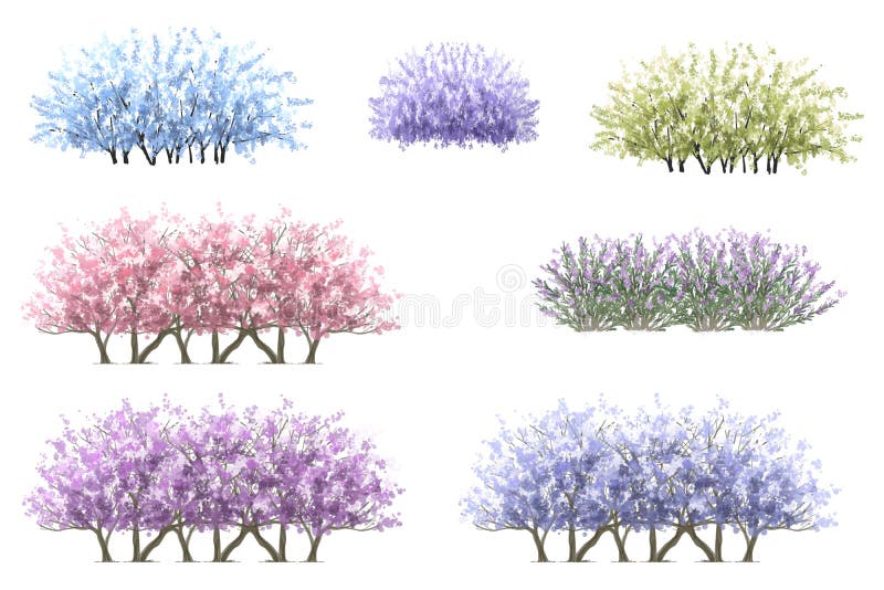 Watercolor Flower Tree Side View for Landscape Stock Image - Image of ...