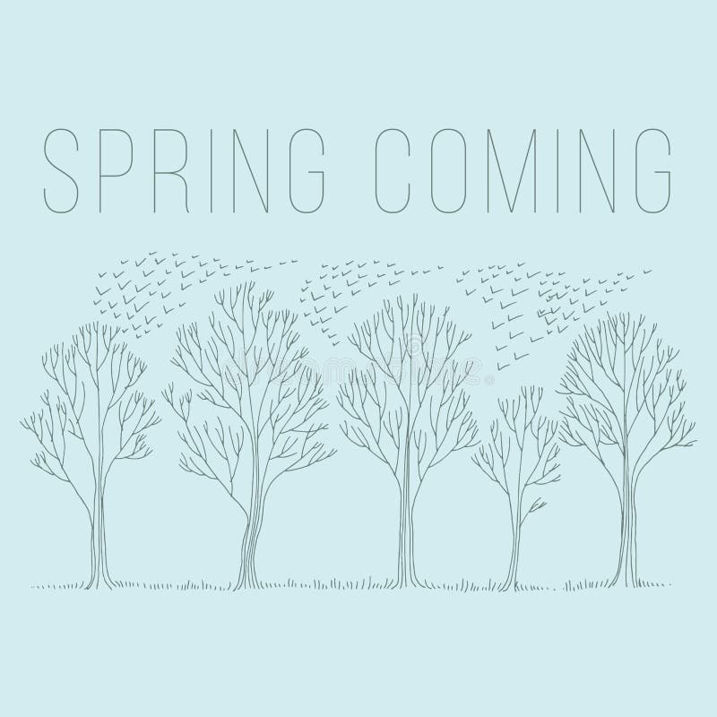 Spring tree sketch stock vector. Illustration of tender - 67838300