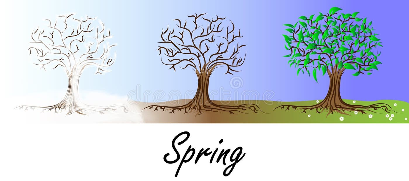 Spring Tree Transformation Stock Illustrations – 490 Spring Tree ...